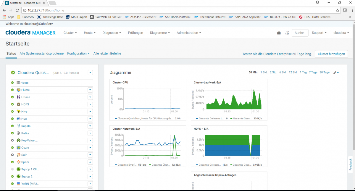 SAP BW Apache Hadoop-Big Data-System - CubeServ